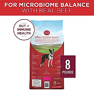 Purina ONE Small Bites Beef and Rice Formula Small Dog Food Dry - 8 lb. Bag
