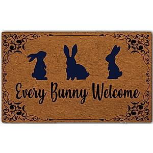 MsMr Funny Door Mat Entrance Floor Mat Every Bunny Welcome Non-Slip Doormat Welcome Mat 23.6 inch by 15.7 inch Machine Washable Non-Woven Fabric