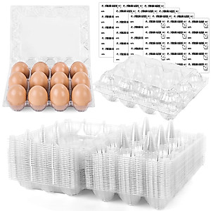 LOVEINUSA 48PCS Clear Egg Cartons, Plastic Egg Holders Egg Cartons Cheap Bulk for Home Ranch Chicken Farm Market Display 12-cavity