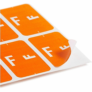 Smead AlphaZ ACCS Color-Coded Alphabetic Label, F, Orange, 100 Labels per Pack (67176)