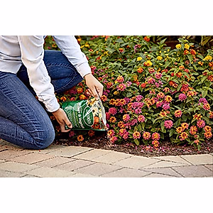 Scotts All Purpose Flower and Vegetable Continuous Release Plant Food, 3-Pound