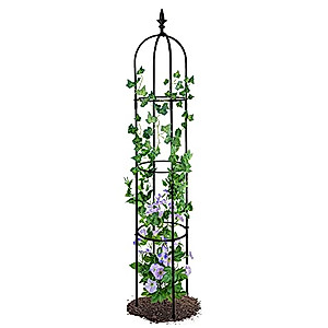 Garden Obelisk Trellis for Climbing Plants Outdoor 6 Ft Rose Bush Round Trellis for Pots Rustproof Metal Plant Flower Trellises for Clematis Vine Jasmine Support Outdoor Indoor
