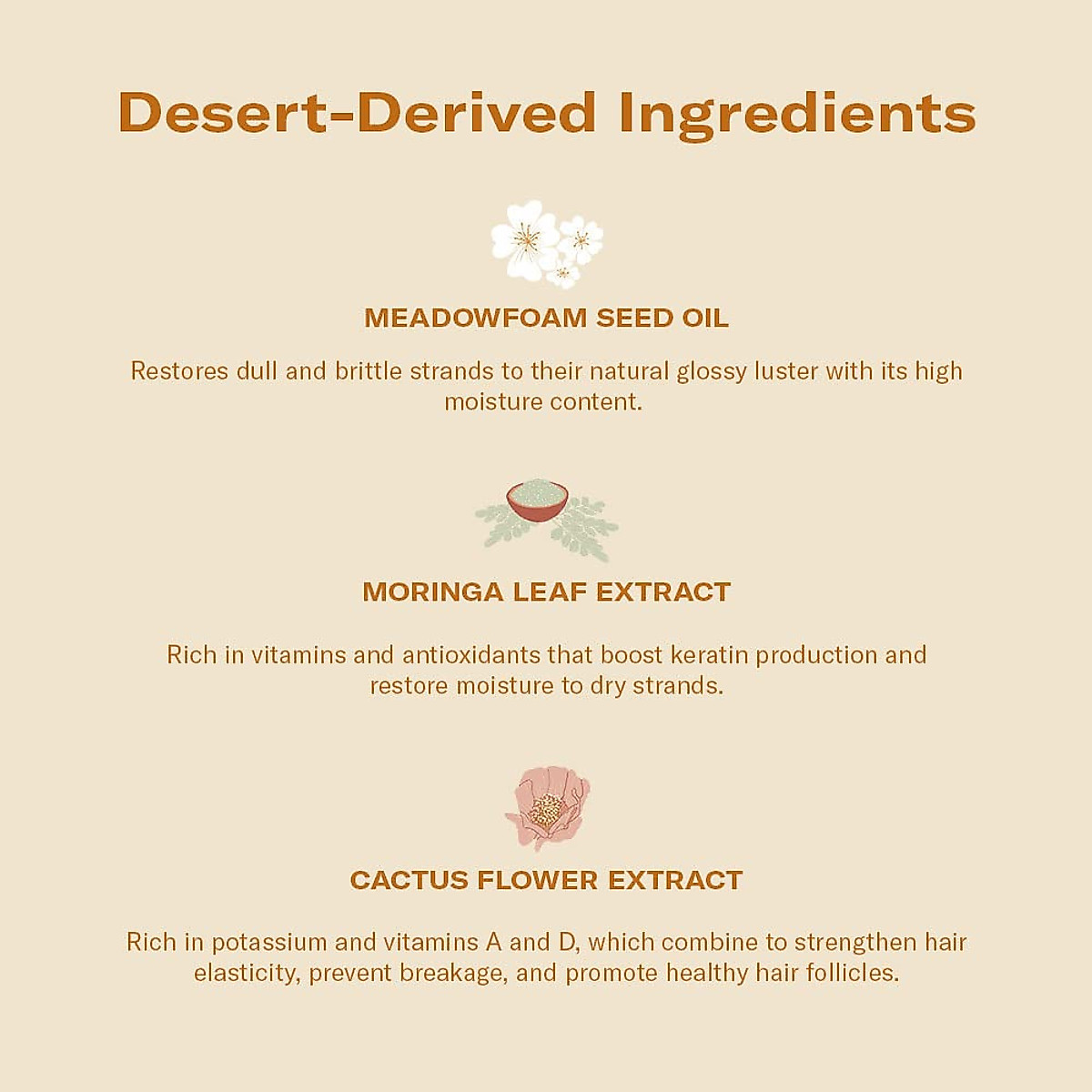 DAE Monsoon Moisture Milk Hydrating Shampoo - Hydrates, Calms Frizz, Softens, Helps Prevent Damage (10 oz)