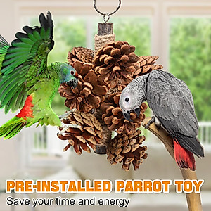 Acostop Bird Toys Parrot Toys - Bird Chewing Toy with Natural Pine Cones for Small and Medium-Sized Parakeets Cockatiels Conures Cockatoos African Grey Amazon Parrots Birdlovers Gifts