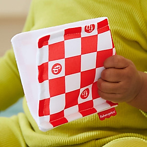 Fisher-Price GMR21 Pretzel Teether BPA Baby Teether Toy