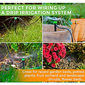 CARPATHEN Drip Irrigation Emitters Spray - 100 pcs Drip Sprinkler Head for 1/4 inch Drip Irrigation Tubing + 1/4 Drip Irrigation Tubing - 100 ft Black Drip Irrigation Hose