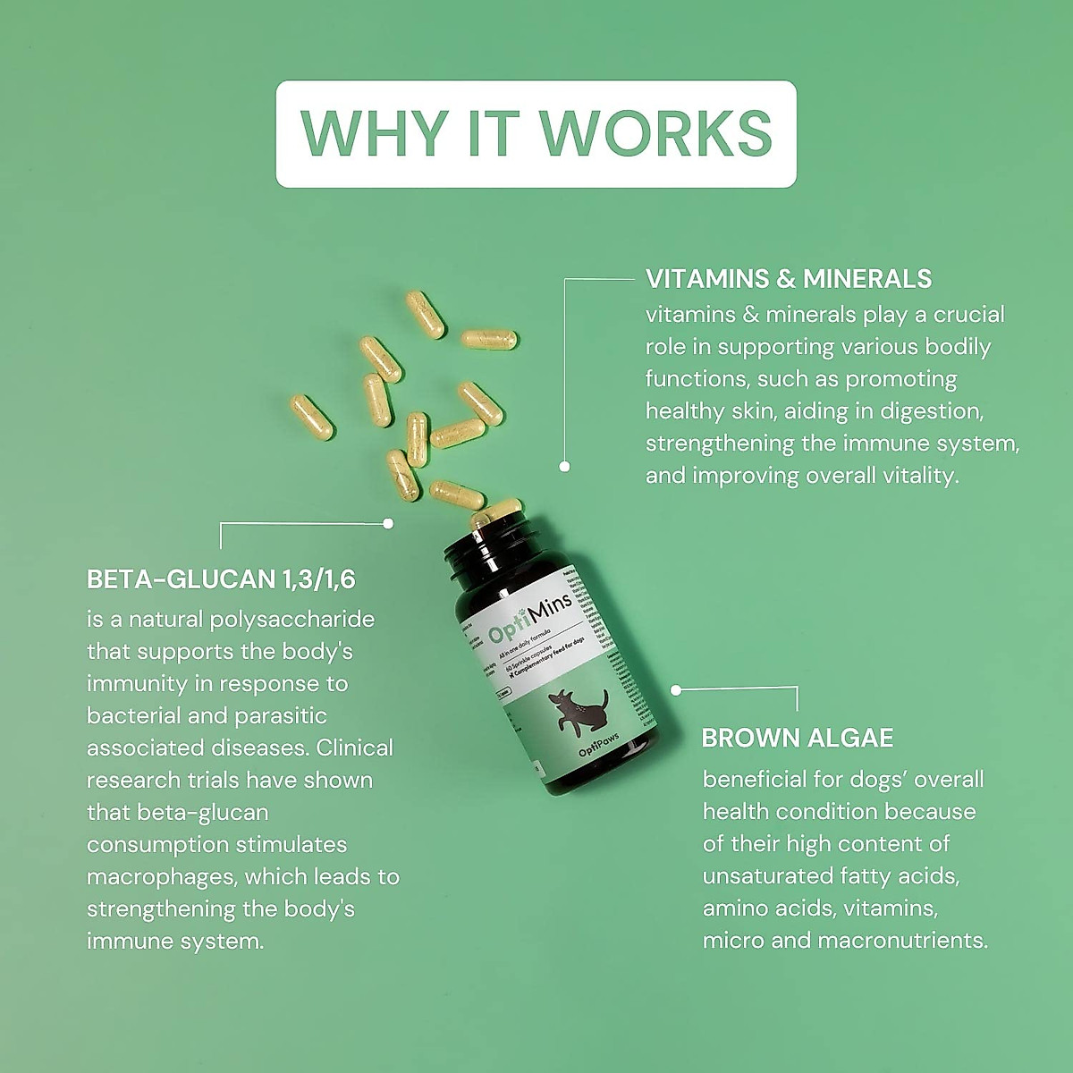 OptiMins Dog Vitamin & Mineral Capsules - Essential Nutrients for Health - Vitality & Immune Support - Multivitamin, Amino Acids, and Minerals for Skin, Digestion and Heart Health