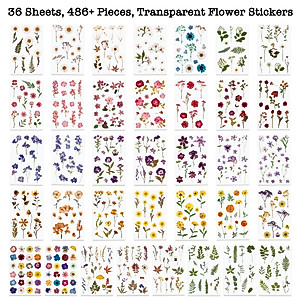 Knaid Pressed Flower Themed Stickers (Assorted 486 Pieces, 36 Sheets) Dried Floral Resin Stickers Decals Botanical Journaling Sticker for Scrapbook Supplies Junk Journal Bullet Journal Planner Laptop