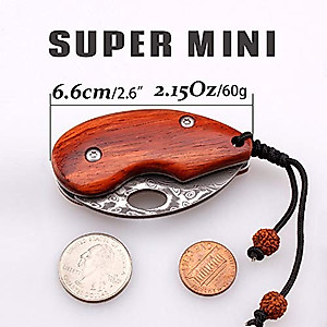 Samior Small Penguin Damascus Mini Karambit Folding Pocket Knife, 1.38" Claw VG10 Blade with Thumb Hole Open, Rosewood Handle with liner Lock and Lanyard Leather Sheath, 2.1oz