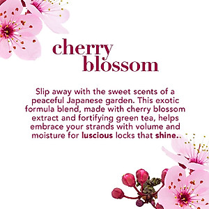 OGX Rejuvinating + Conditioner , Cherry Blossom Ginseng, 13 Fl Oz