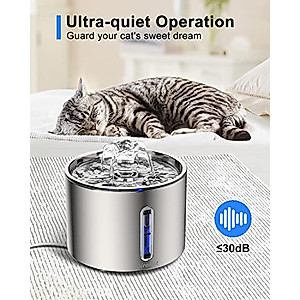 DiroPet Cat Water Fountain Stainless Steel, 84Oz/2.5L Automatic Pet Water Fountain for Cats Inside, Blue Red Water Level Window Cat Fountain,Fountain FilterX2, Pump FilterX2,PlugX1