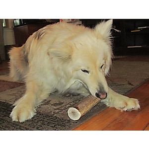 EcoKind Pet Treats Premium Elk Antlers for Dogs – Natural Antler Dog Treats – Healthy & Long-Lasting Dog Antler Tips – Odorless & Delicious – No Chemicals – 4 Pack