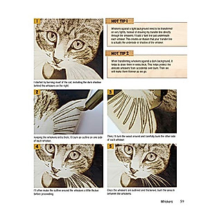 Woodburning Realistic Animals: 12 Step-by-Step Pyrography Projects of Birds, Pets, and Wildlife (Fox Chapel Publishing) Tutorials for Eyes, Fur, Manes, & Whiskers; Projects for Big Cats, Owls, & More