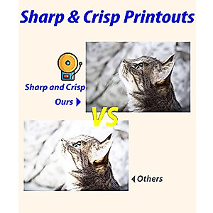 Color Print Compatible 920XL Black Ink Cartridge Replacement for HP 920 XL for Officejet 6500 6500A 6000 7000 7500 7500A E709 Laser Printer (5-Pack)