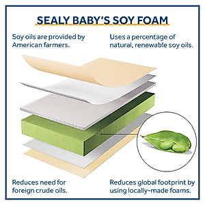 Sealy Baby Soybean Serenity Breathable 2 Stage Waterproof Crib Mattress plus Toddler Bed Fit, Organic Cotton, Soy Enhanced Foam, GREENGUARD Gold Certified, Safety & Quality Tested, Made in USA, 52X28'