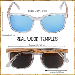 Woodies Clear Acetate Frame and Colored TAC Lenses Sunglasses | FREE Wooden Gift Box | 100% UVA/UVB Ray Protection (Light Blue)