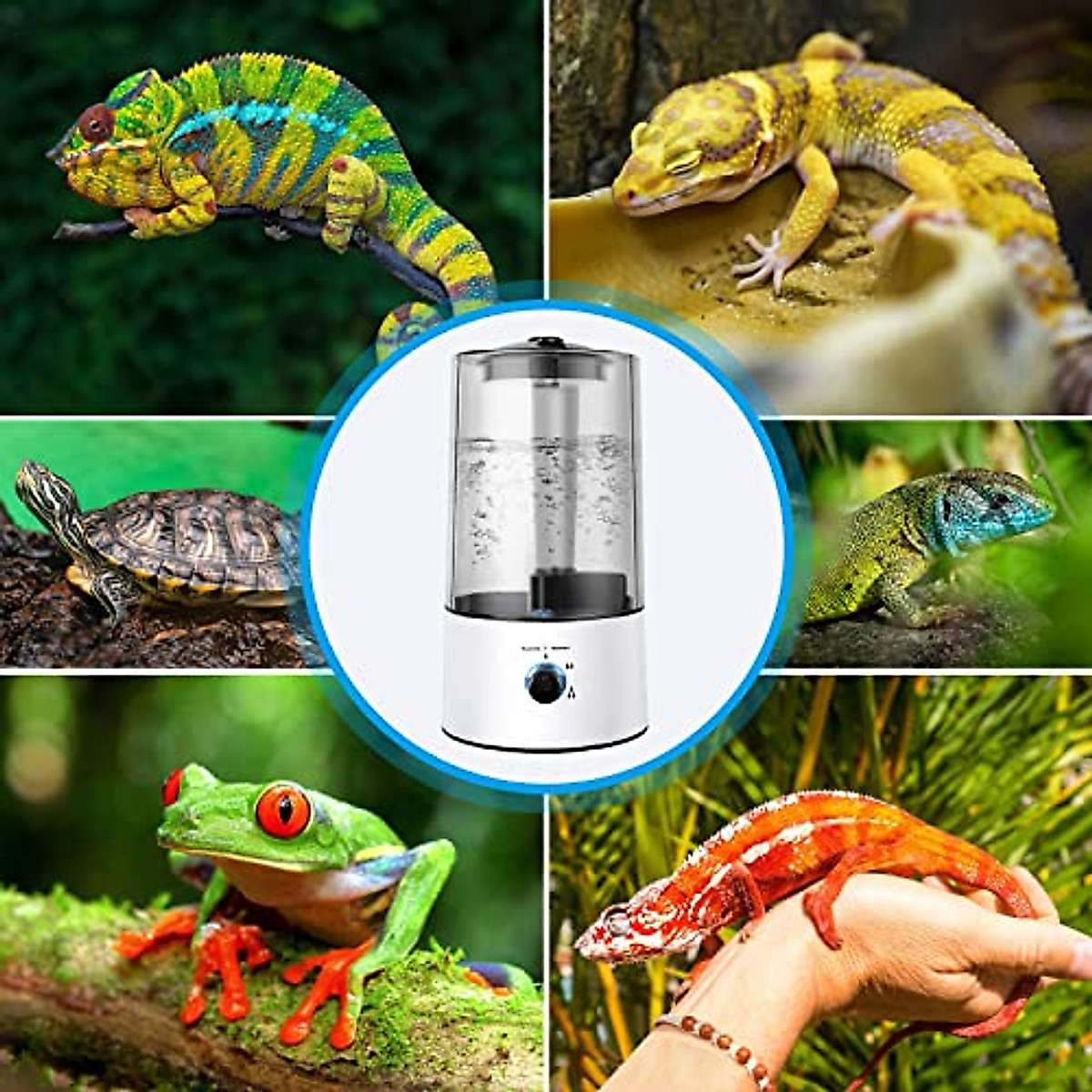 Reptile Humidifier 4L Adjustable Fog Volume Mister Fogger with Extension Tube/Hose Tank Fogger for Reptiles/Amphibians/Herps