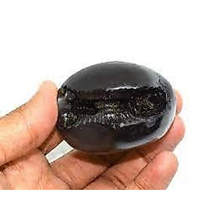 Shaligram Laxmi Narayan Saligram Vasudev Shaligram Pooja Item Diwali Item Dhanteras Vishnu Shaligram from Gandaki River Nepal (Black)