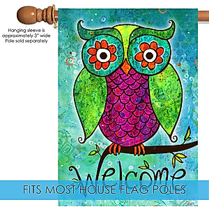 Toland Home Garden 109432 Rainbow Owl Welcome Flag 28x40 Inch Double Sided Welcome Garden Flag for Outdoor House Bird Flag Yard Decoration