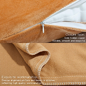 NTBAY Velvet Soft Solid Color Zipped Toddler Pillowcases, 2 Pack Cozy Luxury Zippered Plush Travel Pillow Cases, 13x18 Inches, Camel