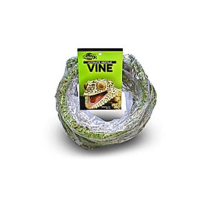 Pangea Reptile Ultimate Vine for Terrarium Habitat (Green)