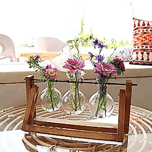 Ivolador Desktop Propagation Station, Bulb Plant Terrarium with Retro Solid Wooden Stand and Metal Swivel Holder for Hydroponics Plants Home Garden Wedding Decor (3 Bulb)