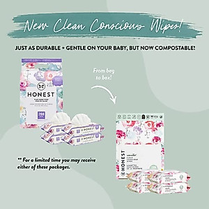 The Honest Company Clean Conscious Wipes | 100% Plant-Based, 99% Water, Baby Wipes | Hypoallergenic, Dermatologist Tested | Rose Blossom, 288 Count