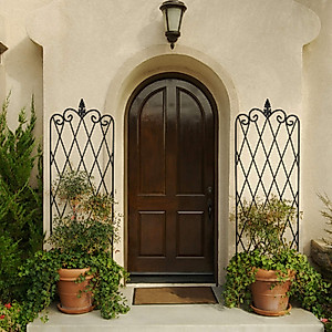 AMAGABELI GARDEN & HOME 2 Pack Black Garden Trellis for Climbing Plants 47” x 16” Iron Plant Support Climbing Vines and Flowers Stands Vegetables Patio Metal Lattices Grid Panels for Ivy Cucumbers