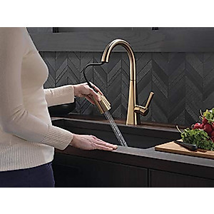 Delta Faucet Lenta Gold Kitchen Faucets with Pull Down Sprayer, Kitchen Sink Faucet with Magnetic Docking Spray Head, Faucet for Kitchen Sink, Champagne Bronze 19802Z-CZ-DST