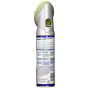 WOOLITE Cleaner, Carpet & Upholstery, 12 Ounce