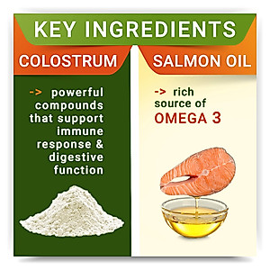 Advanced Allergy + Allergy Relief + Probiotics Dogs Bundle - Itchy Skin Treatment - Omega3&Pumpkin - Dog Itch Relief + Anti Itch Support Supplement, Dogs Itching& Licking Treats - 240Ct - Made in USA