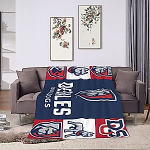 DeSales University Logo Fleece Blanket, Very Soft Microfiber Flannel Blanket for Couch Warm and Cozy for All Seasons