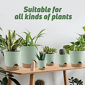 YNNICO Indoor Self Watering Planters with Drainage Holes and Saucers, 8, 7, 6.5, 6, 5.5, 5 Inches, Green, 6 Pots