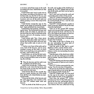 The Scriptures Large Print Duotone Charcoal Edition (ISR)