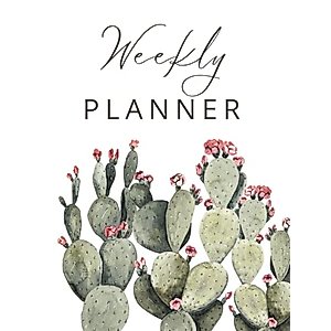 Weekly Cactus Planner 2024: Large One Year Monthly Planner From January 2024 to December 2024 (12 Months) With Federal Holidays | Monthly Weekly Agenda & Schedule Organizer |
