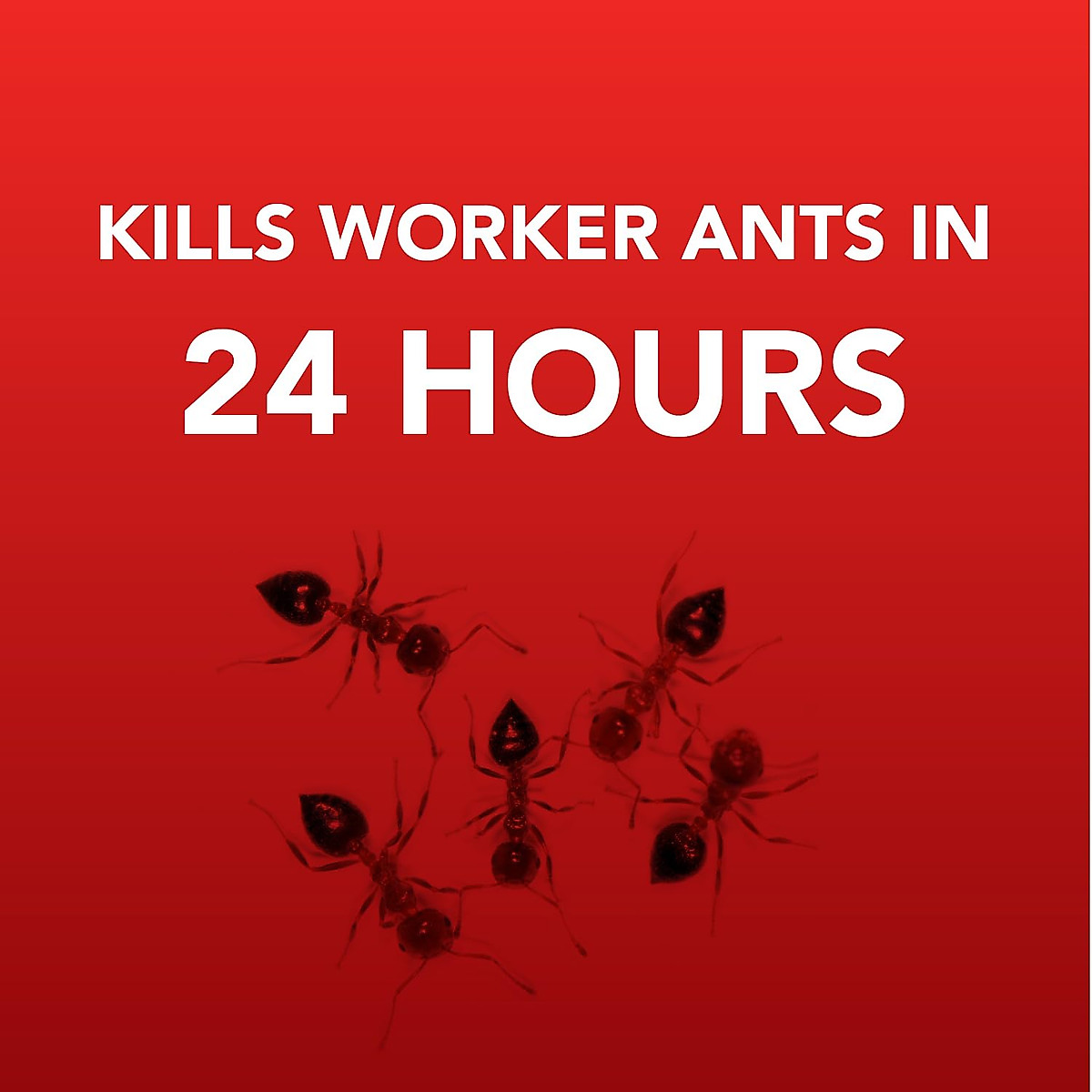 Ortho Home Defense 8PK Plastic Indoor/Outdoor Bait Stations