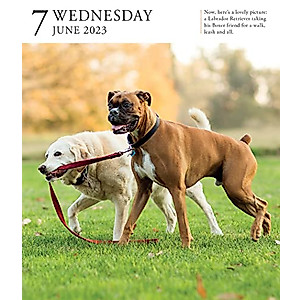 Dog Page-A-Day Gallery Calendar 2023: An Elegant Canine Celebration