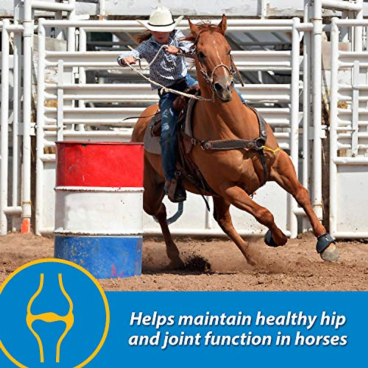 Farnam Fluidflex Liquid Joint Supplement for Horses, Helps Maintain Healthy Hip & Joint Function, 1 Gallon, 128 Ounces, 128 Day Supply