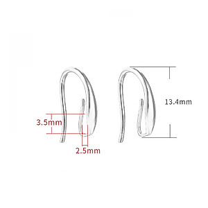 2 Pairs 925 Sterling Silver Earring Hooks Fish Ear Wires Hooks Smooth Dangle Earrings Component for DIY Jewelry Making Craft for Women(Platina Color)