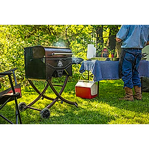 PIT BOSS Mahogany 260 Portable Wood Pellet Grill (PBPEL26010570)