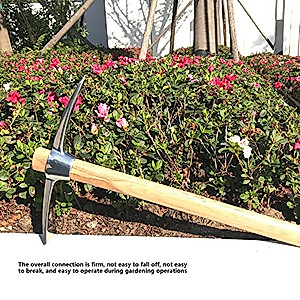 DAUERHAFT Hand Tiller, Convenient Hoe Garden Tool with Hardwood Handle, Easy to Use Stainless Steel Hand Cultivator, Digging Weeding for Storage and Use
