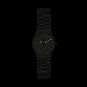 Skagen Women's Grenen Lille Three-Hand Stainless Steel Mesh Watch (Model: SKW3046)