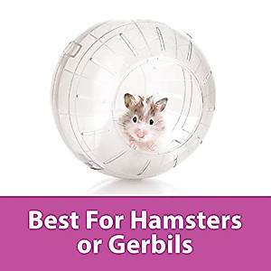 Kaytee 7" Clear Run-About Exercise Ball For Pet Hamsters & Gerbils
