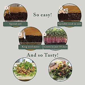 Window Garden Microgreens Growing Kit - Includes Microgreen Seeds, Organic Pea Shoot (3 Pack Refill) - Indoor Microgreen Grow Starter Kit - Pre-Measured Soil, Sprout Crops of Superfood Greens