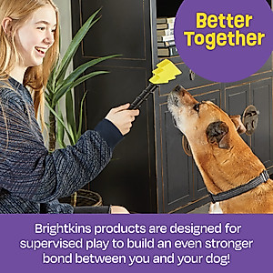 Brightkins Magic Wand Treat Dispenser: Bolt - Dog Treat Holder and Target Stick, Treat Dispenser for Dogs, Treat Dog Toys