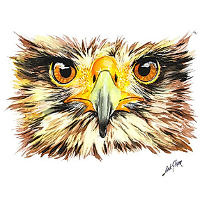 U.S. Art Supply 36 Color Watercolor Artist Paint Set with Plastic Palette Lid Case and Paintbrush - Watersoluable Cakes