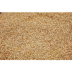 Creeping Red Fescue Seed by Eretz (3lb) - CHOOSE SIZE! Willamette Valley Oregon Grown, No Fillers, No Weed or Other Crop Seeds, Premium Shade Grass Seed.