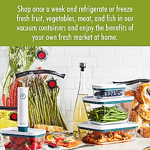 ZWILLING Fresh & Save Airtight Food Storage Container, Medium, La Mer