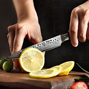 YARENH Kitchen Knife,Fruit Knife 5 inch,Damascus Steel Blade,High Carbon,67 Layers,Full Tang,Kitchen Utility Knife for Professional Chef,Pakka Wood Handle,Gift Box Packaging, HYZ-Series