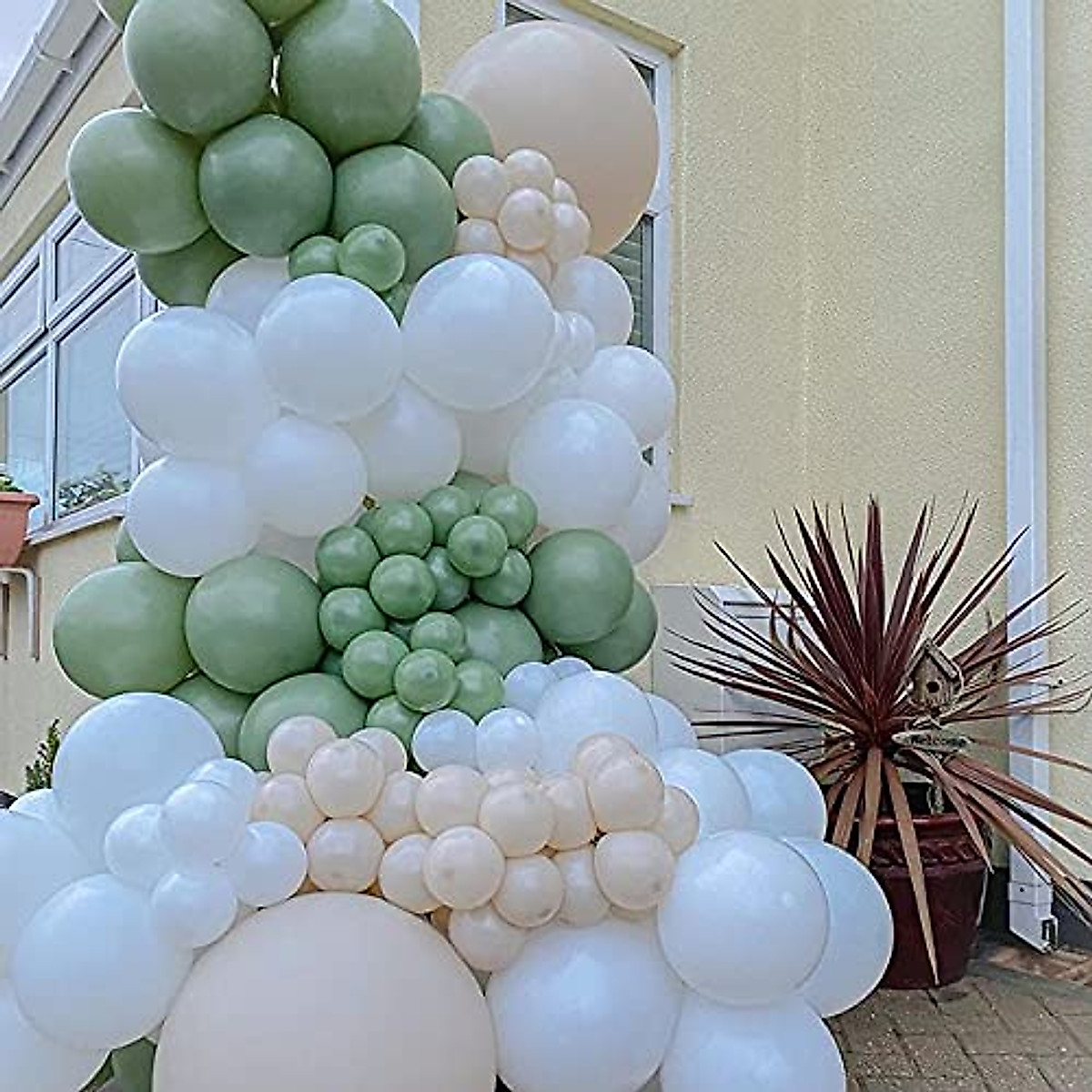 Janinus Sage Green Balloons Party Balloons 10 Inches 50 PCS Olive Green Party Balloons Sage Green Latex Balloons Birthday Balloons For Party